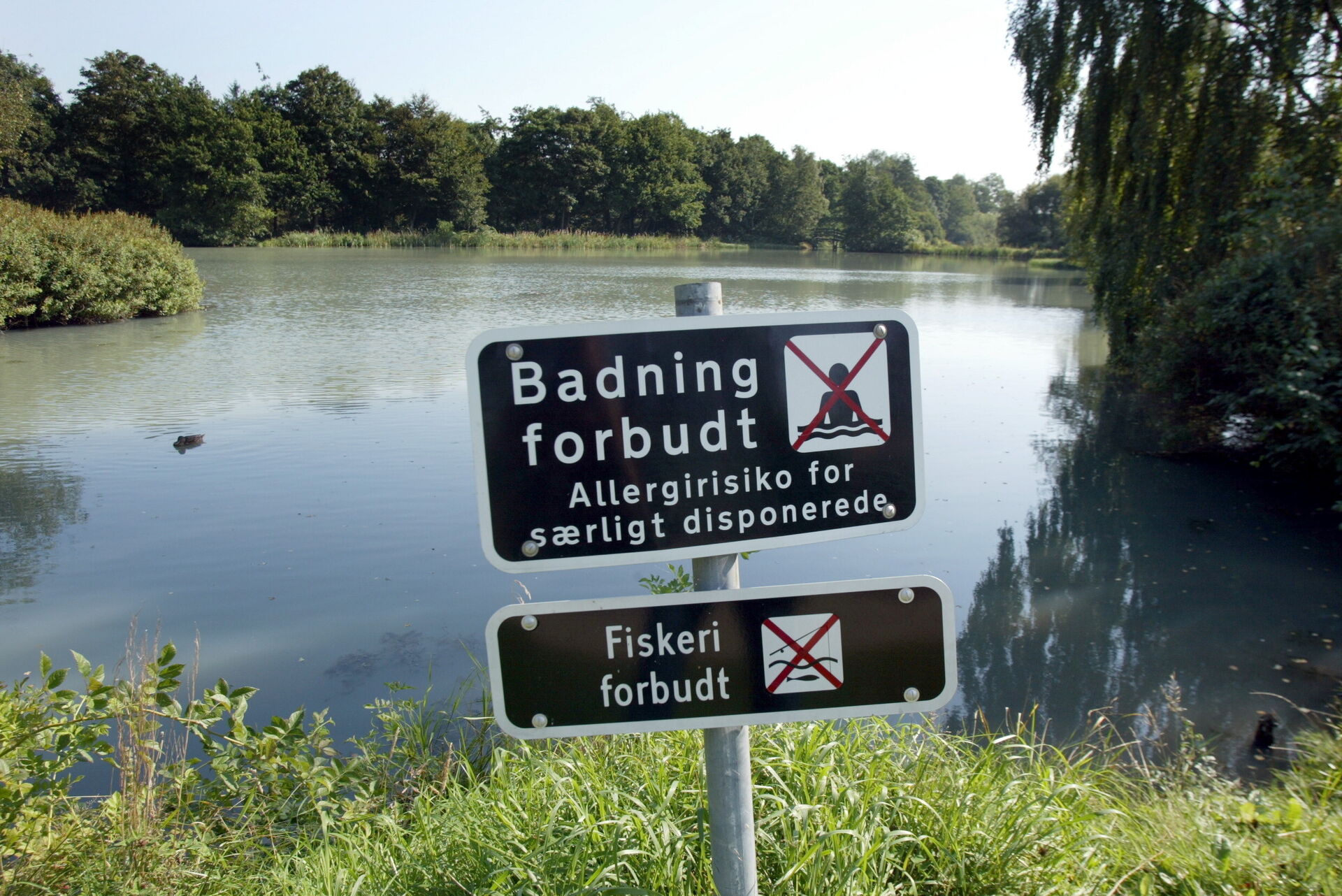 Losseplads i Grindsted bliver ikke ny generationsforurening