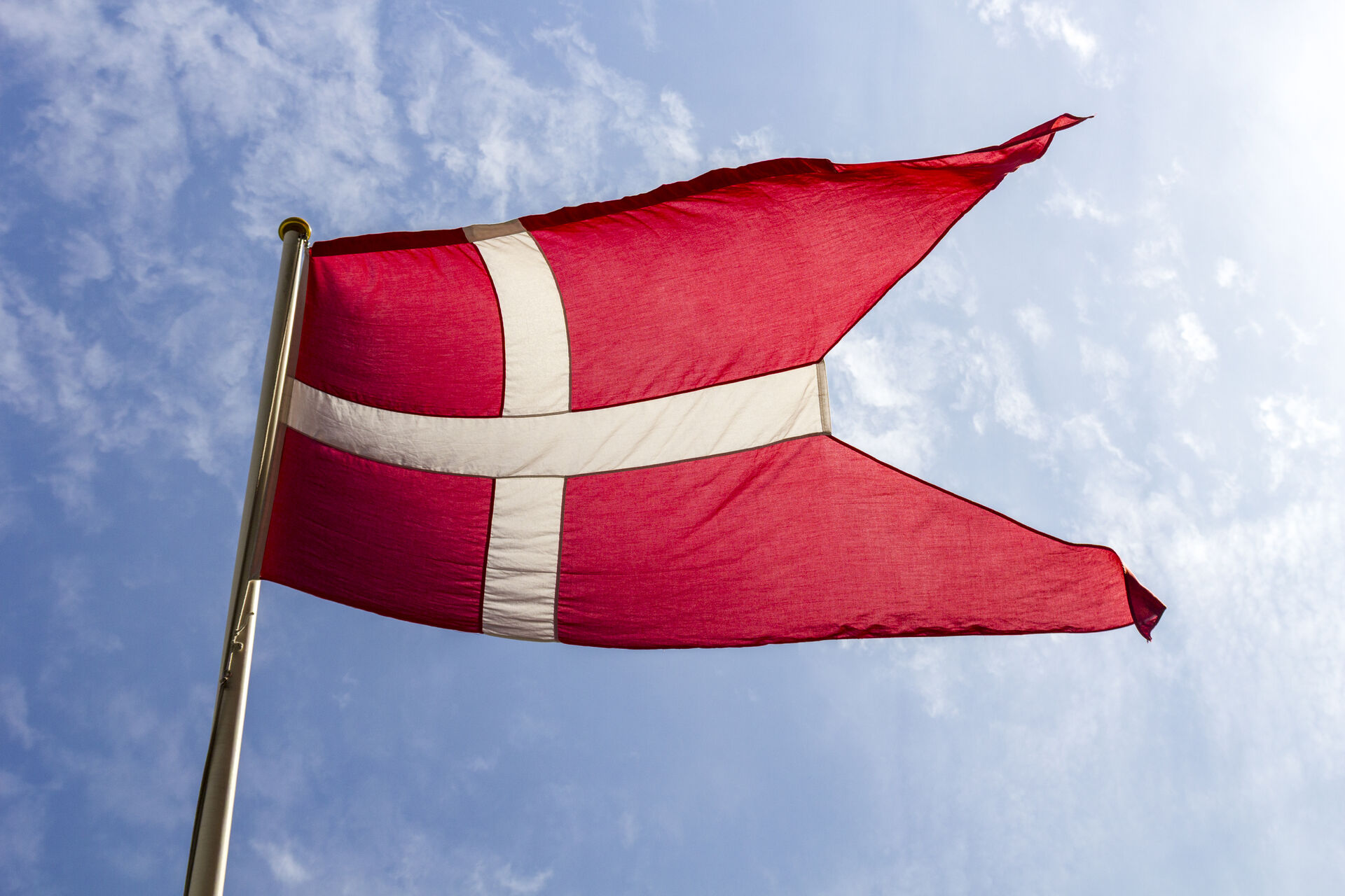 Dannebrog skal ikke vaje i byrådssalen, mener udvalg